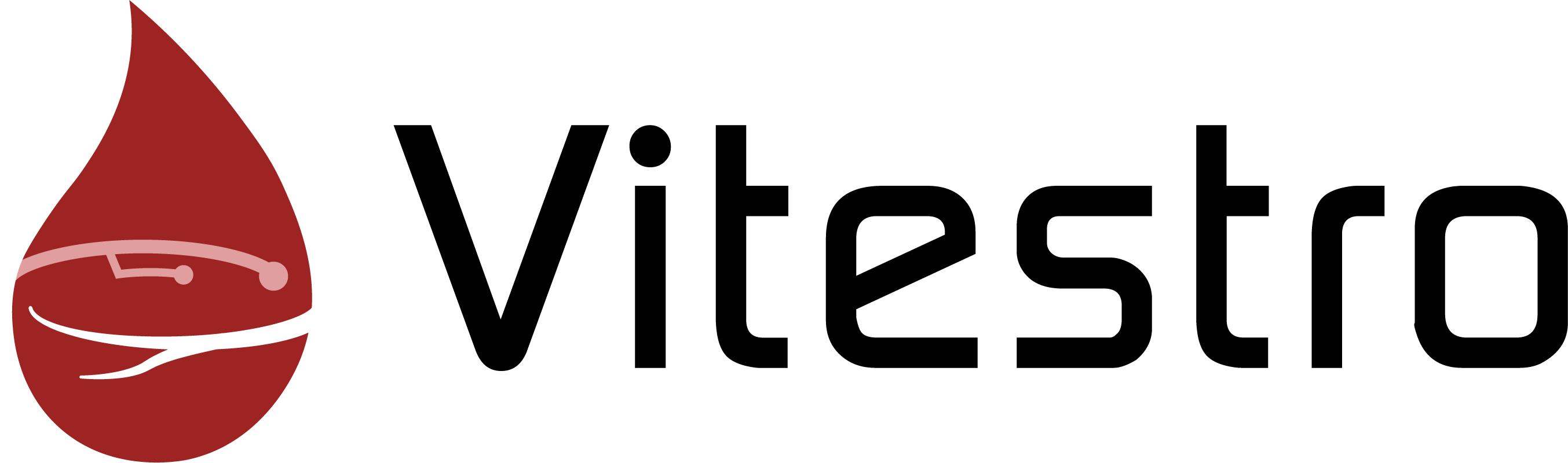 Careers at Vitestro