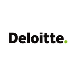 Deloitte ERP Consultant | SmartRecruiters