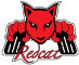 Careers at Redcat Racing