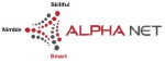 Careers at Alpha Net Consulting LLC.